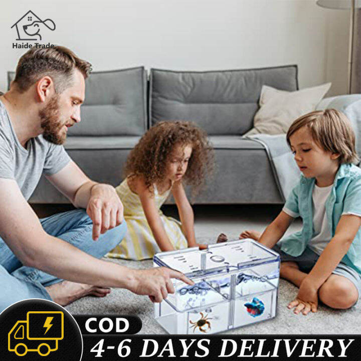 Mini Fish Tank With Divided Compartments Clear Acrylic Fish Incubator ...