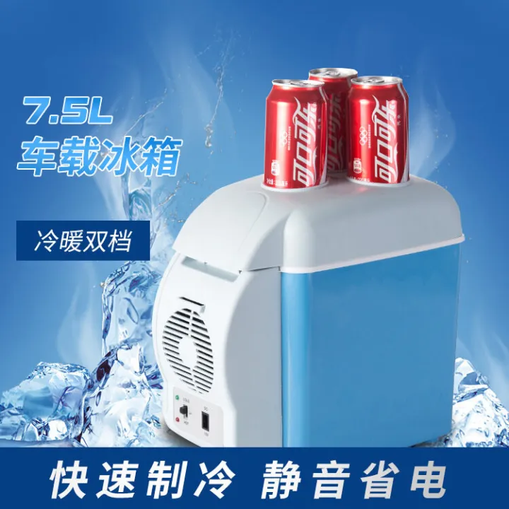 Microraptor Auto Electric Small Semiconductor Refrigerator Portable ...