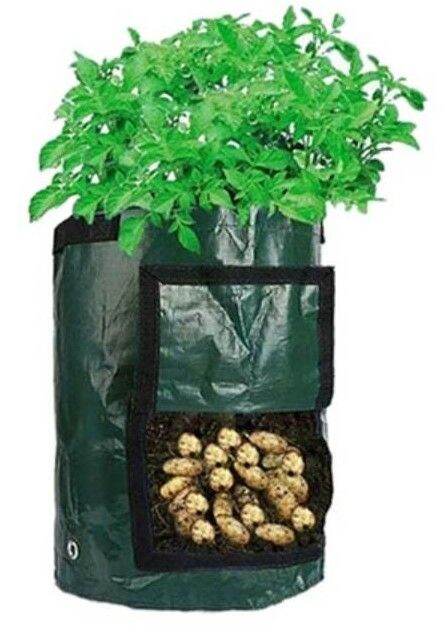 Root vegetable Grow Bag with handle and opening for potato, carrots etc ...