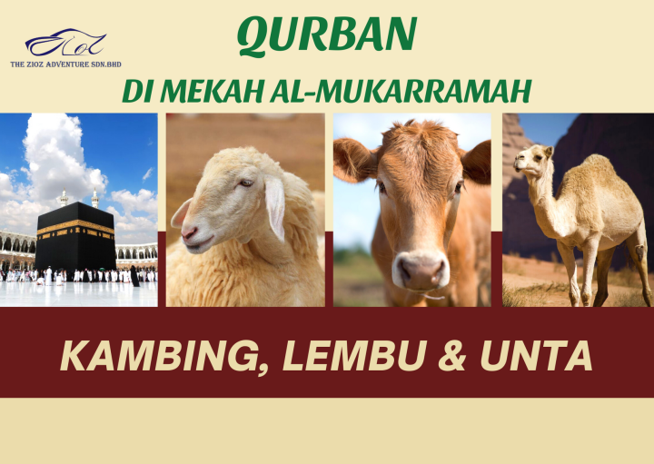 Qurban Di Tanah Suci Mekah [ Kambing, Lembu & Unta ] | Lazada