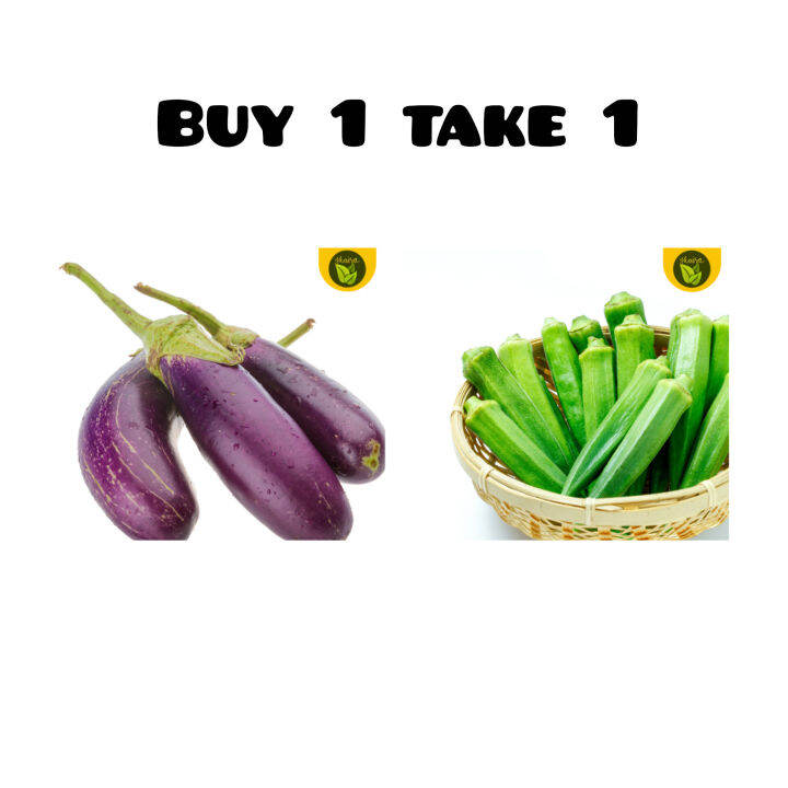 Binhi pantanim Buy 1 Take 1 (30 seeds talong 20 seeds okra) | Lazada PH