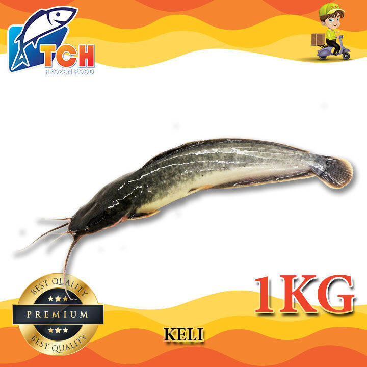 IKAN KELI, CAT FISH, TCH FROZEN FOOD, FRESH FROZEN SEAFOOD, WHOLESALE SUPPLIER, FISH, IKAN,KELI ...