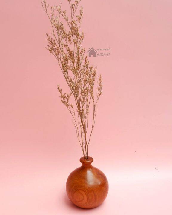 bunga kering caspea - dried flower caspea - bunga kering aesthetic ...