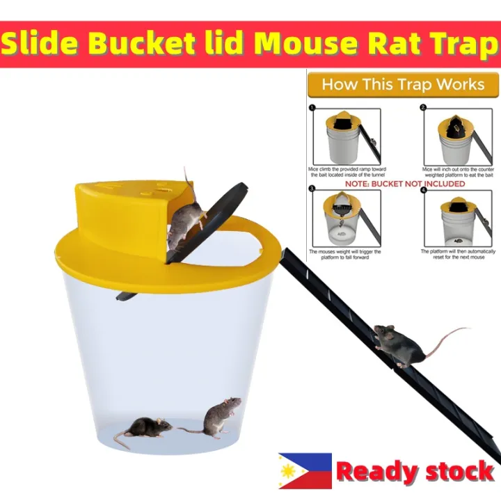 Limited Time OfferNew Mice Mouse trap Reusable Smart Flip Rat Trap ...