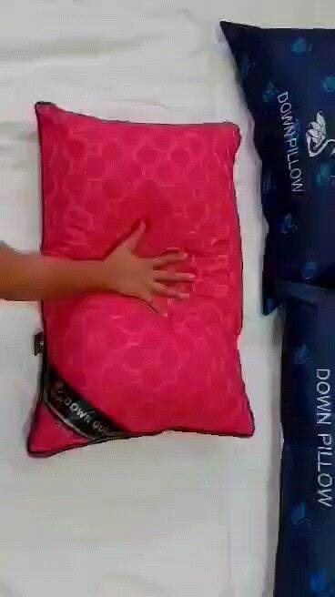 Hilton double lining pillow-3D design. | Lazada PH