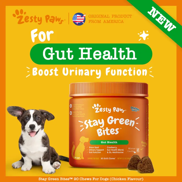 Zesty Paws Stay Green Bites Chicken 90ct (EXP:07/2023) | Lazada PH