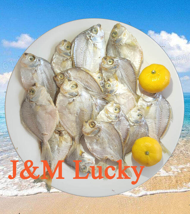 Sapsap fish dried fish Sapsap from palawan seafood Tuyo, dilis,dalagang ...