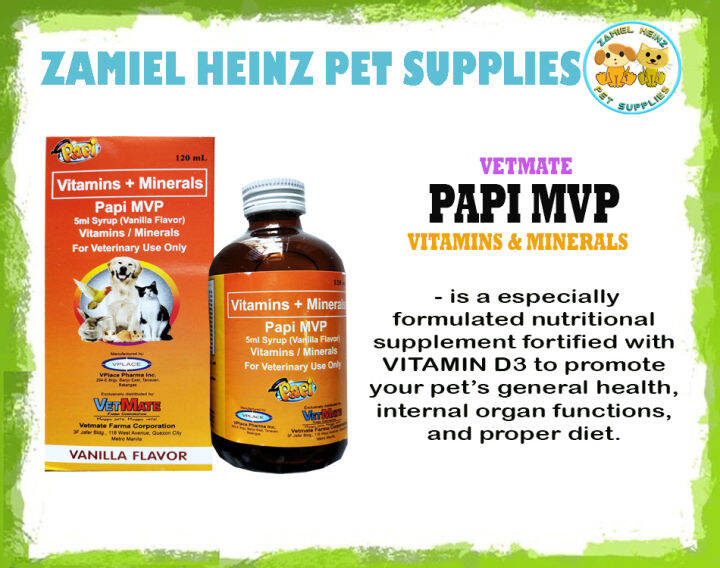PAPI MVP VITAMINS+MINERALS SYRUP 120ml | Lazada PH