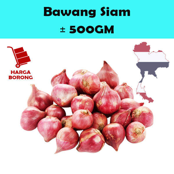 Fresh Shallots Siam / Bawang Merah Siam Thailand 暹葱 [± 500GM] | Lazada