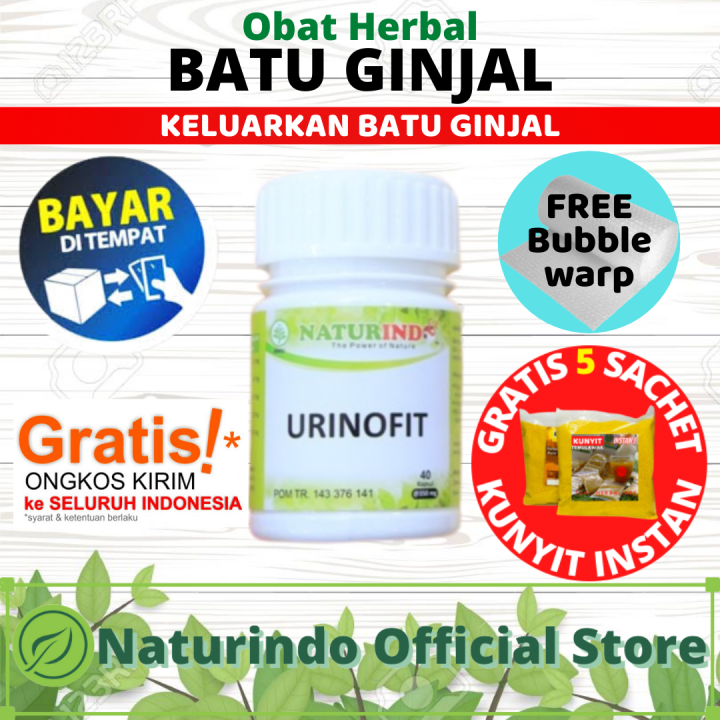 Obat Batu Ginjal Pecahkan Batu Ginjal Herbal Kapsul Urinofit Naturindo ... Obat Batu Ginjal Pecahkan Batu Ginjal Herbal Kapsul Urinofit Naturindo ...