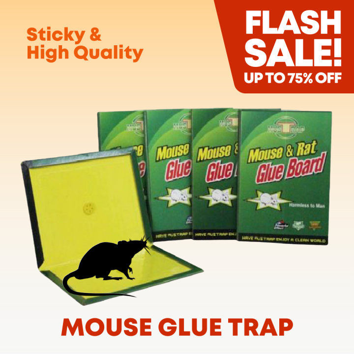 Best Promo Original COD Green Mouse and Rat Catcher Glue Trap Rodent ...