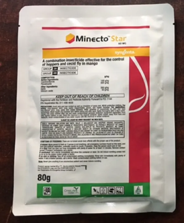 MINECTO STAR 80GRAMS | Lazada PH