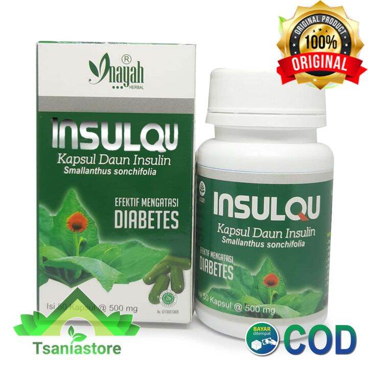 kapsul daun insulin - insulqu -insulvit inayah 50 kpsl - kapsul herbal ...
