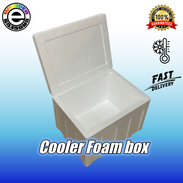 Styrofoam Cooler Box / Kotak Foam / 保丽龙冷冻箱 | Lazada