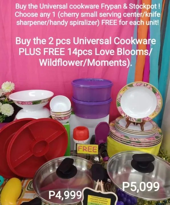 stock pot only | Lazada PH