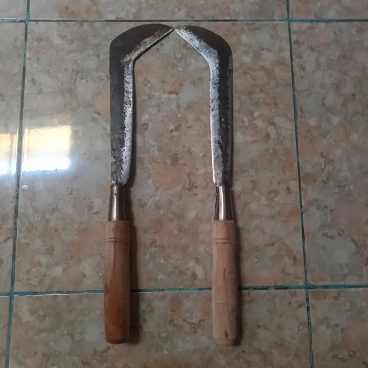 Arit Px / Alat Pemotong Rumput / Caluk / Alat Pembersih Rumput (45cm ...