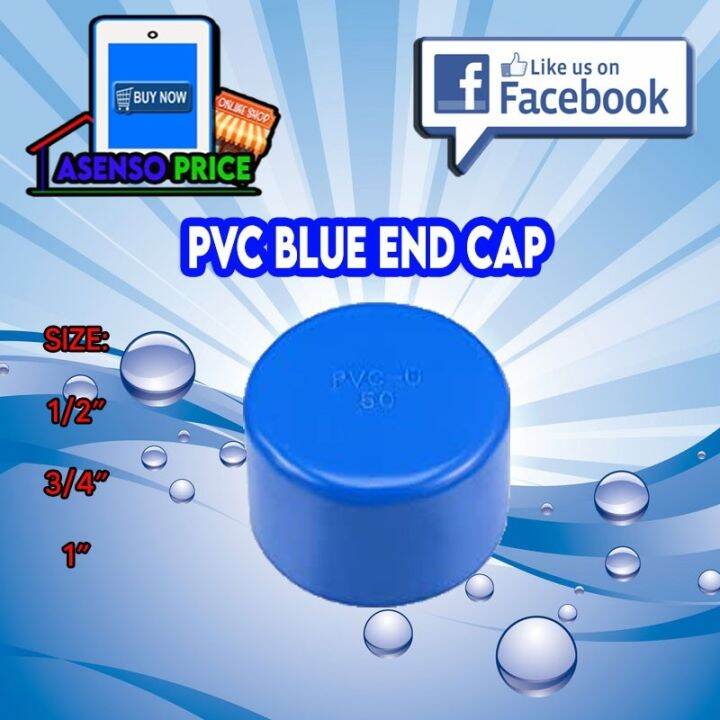 PVC Blue End Cap 1/2 3/4 1 (Waterline Fitting) | Lazada PH