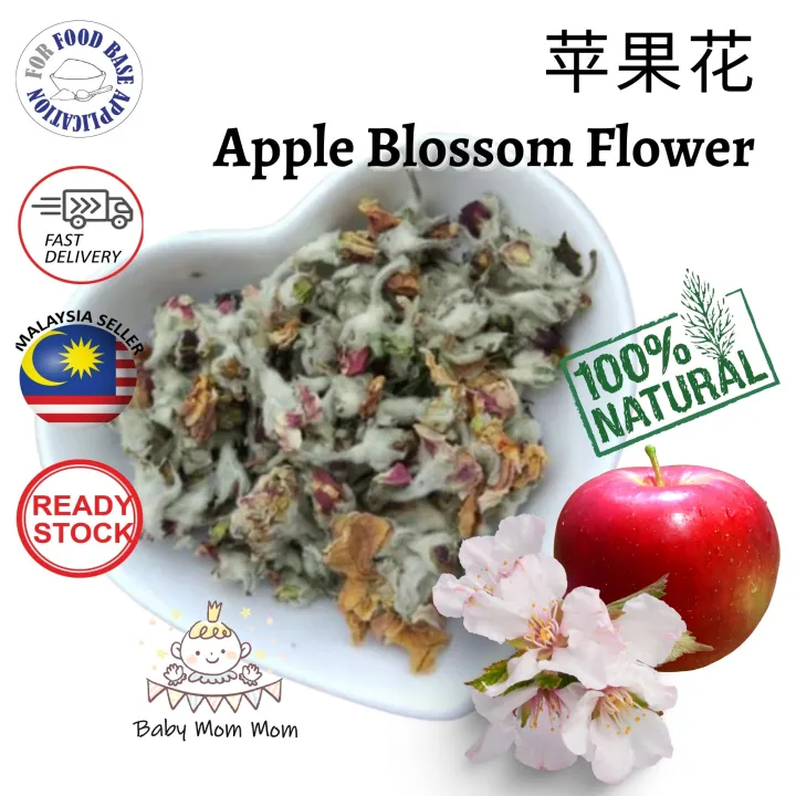Apple Blossom Tea | 苹果花 | Apple Flower Tea Teh Bunga Epal | Lazada