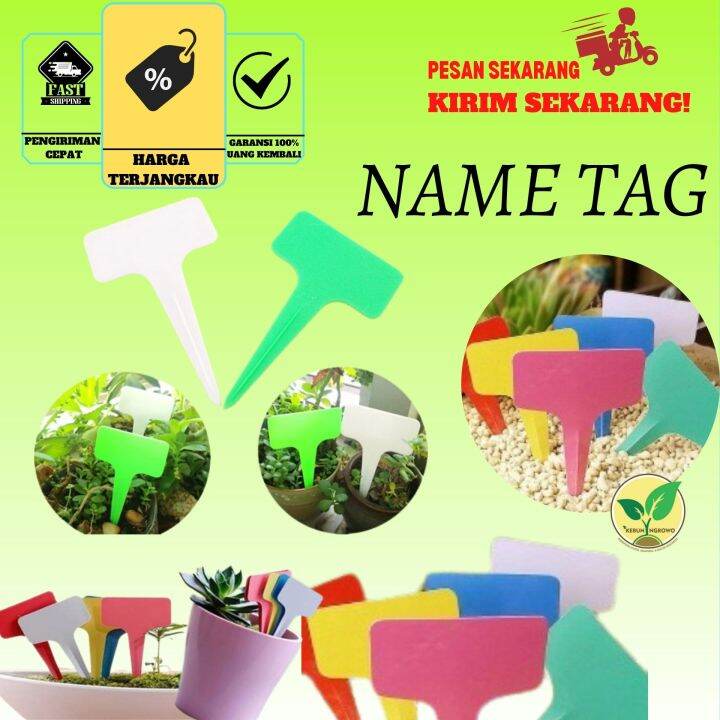 Label Penanda Tanaman Bahan Plastik 100 PCS | Lazada Indonesia