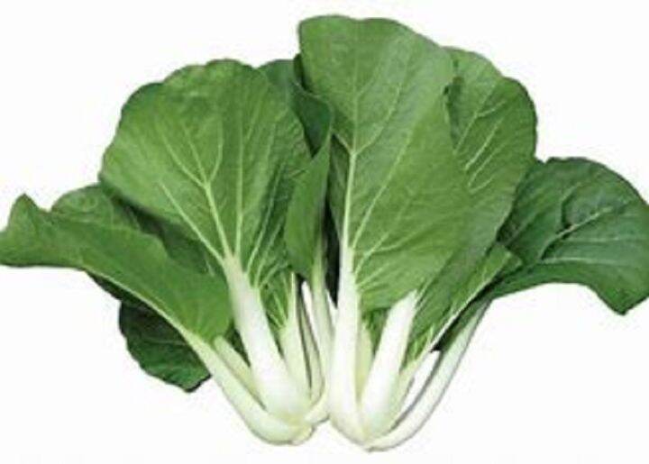 PECHAY SEED`S "HARI DIGMA" FAST GROWING. | Lazada PH