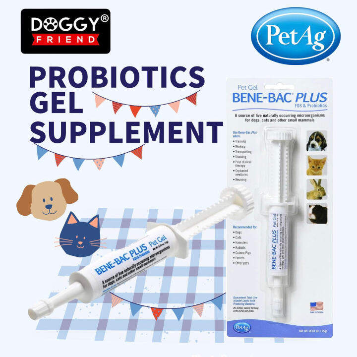 Bene Bac Plus Probiotics Gel Supplement Syringe 15g / Pet Probiotics ...