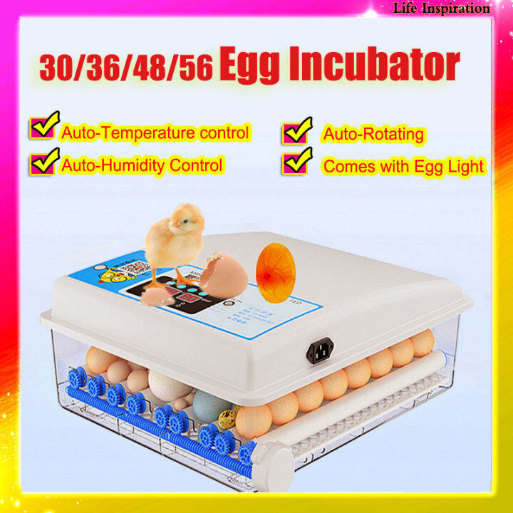 【On Stock】220V 12/16/24/30/36/48/56/64/72/96/108/120 Egg Brooder ...