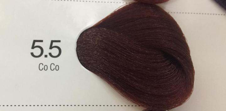 bremod haircolourant coco 5/5 | Lazada PH