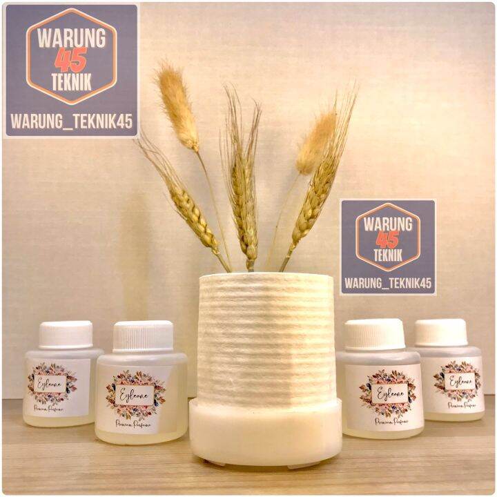 PENGHARUM RUANGAN TOILET , AROMA THERAPHY - EYLEANE | Lazada Indonesia