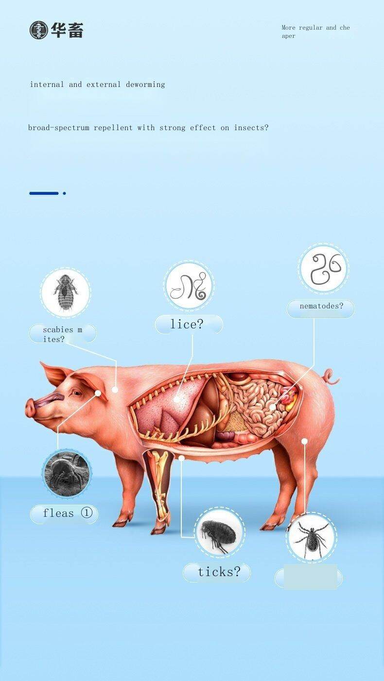 Pet food veterinary anthelmintic Ivermectin pig and sheep mite nematode ...