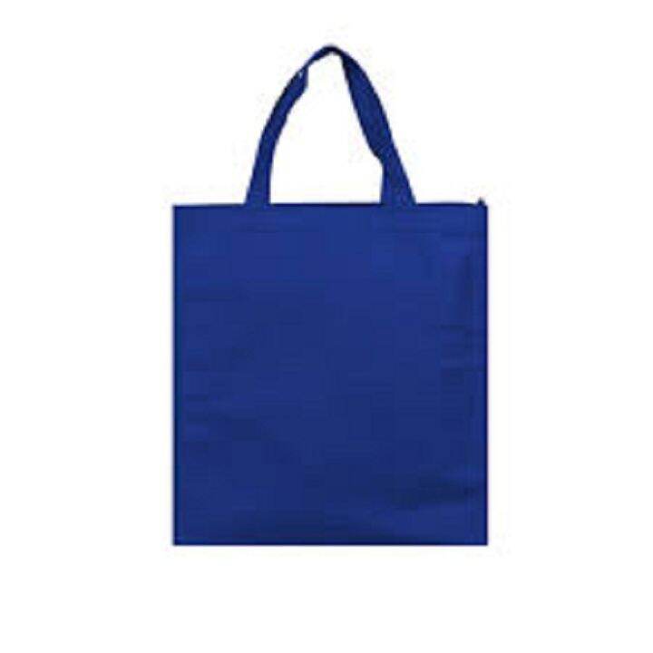 ECOBAG FOR LAPTOP blue | Lazada PH