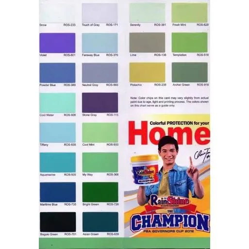 Rain or Shine Elastomeric Wall Paints 1 Liter | Lazada PH