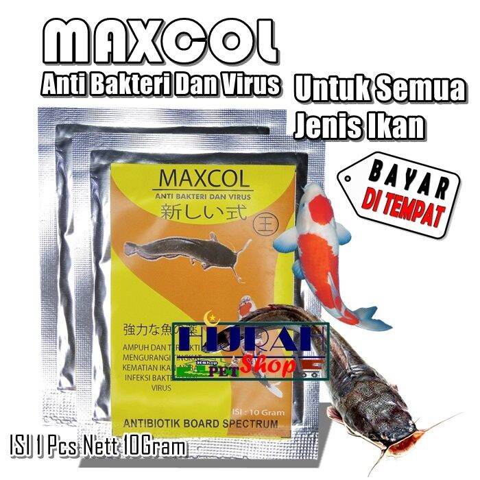 Obat Ikan Antibiotik Ikan Spektrum Luas Obat Anti Bakteri Dan Virus ...