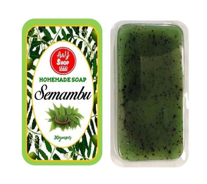 30GRAM SABUN HOMEMADE DAUN SEMAMBU | NEEM SOAP | TRAVEL MINI SIZE | Lazada