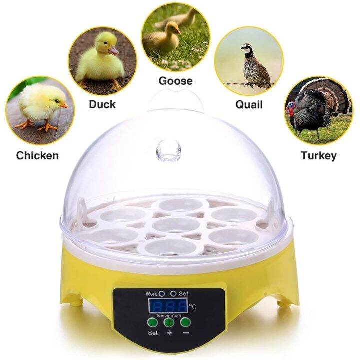Mini 7 Egg Incubator Poultry Incubator Brooder Digital Temperature Farm ...