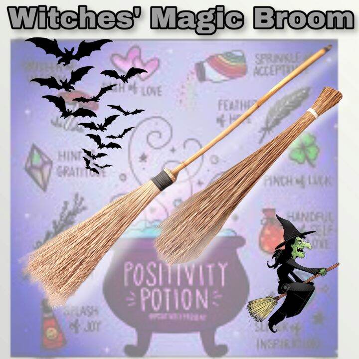 Lola Basyangs Original Magic Walis Tingting and WITCHES 5 FEET BROOM ...