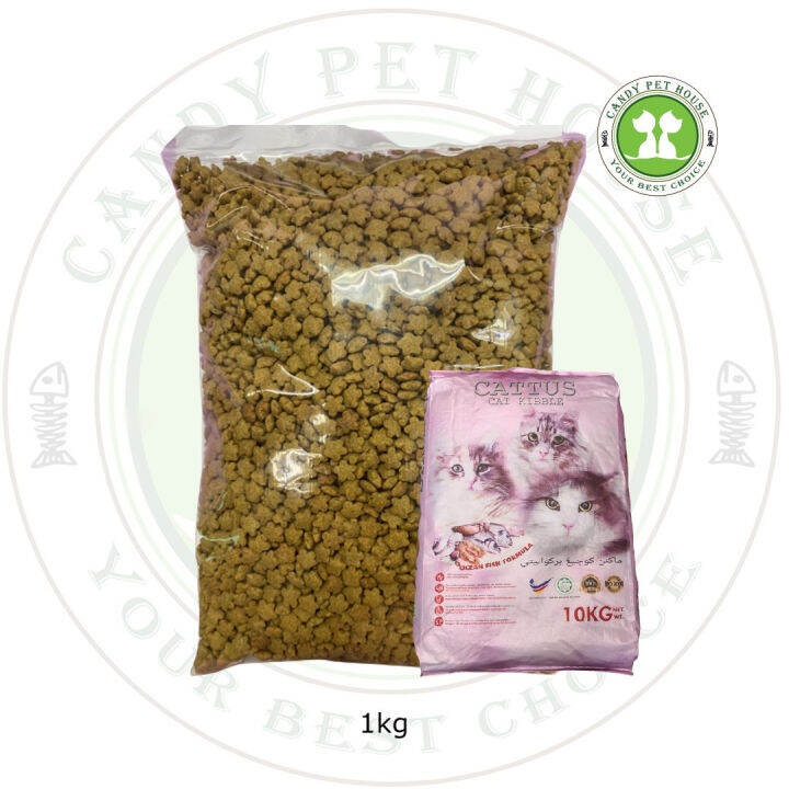 Cattus Cat Kibble Ocean Fish/Dry Cat Food-1kg(Repack) | Lazada