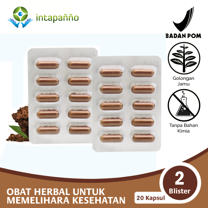 INTAPANNO COMBO 2 Sarang Semut Obat Herbal Kanker Tumor 20 Kapsul Jamu ...