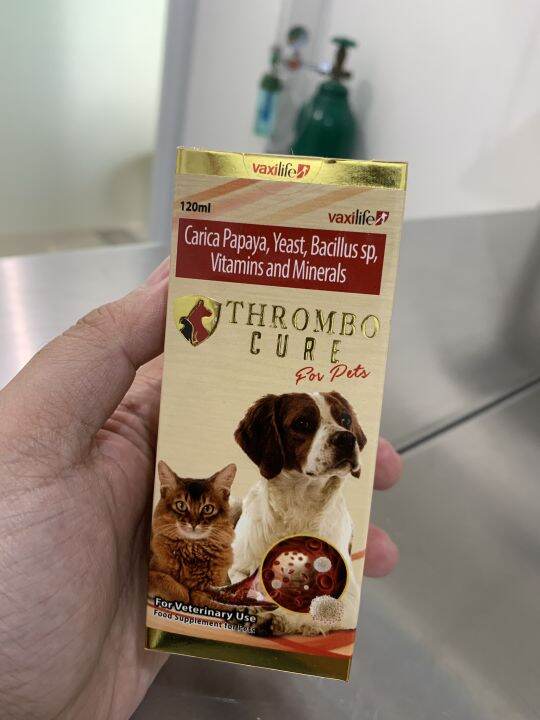 THROMBOCURE (Carica Papaya, Yeast, Bacillus sp., Vitamins and Minerals ...