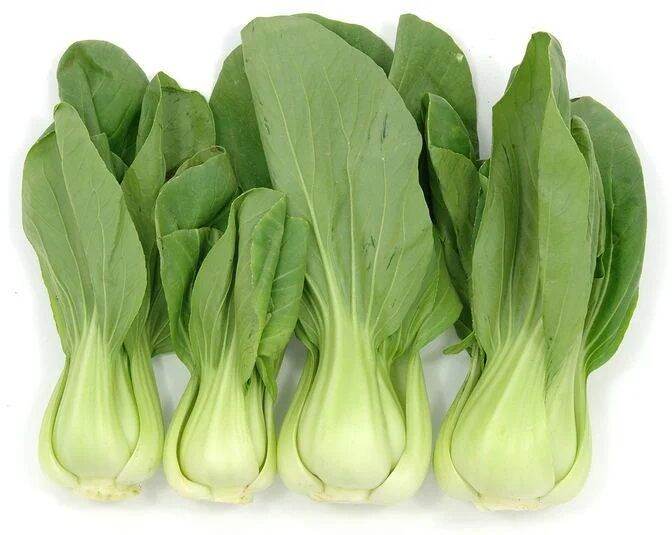 TAIWAN PECHAY SEEDS (BOK CHOY) | Lazada PH