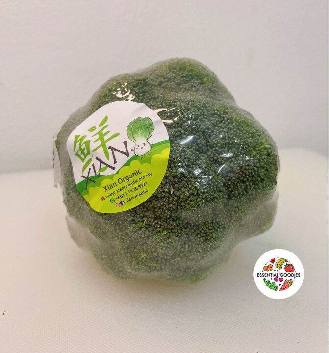 Organic Broccoli (500g) | Lazada