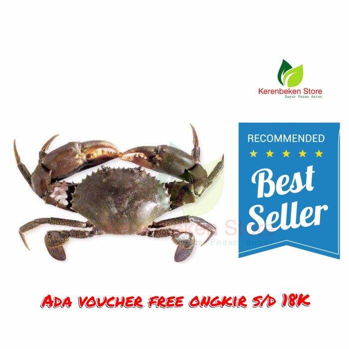 kepiting betina hidup per 500gr | Lazada Indonesia