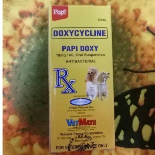 PAPI DOXY 60 ML | Lazada PH