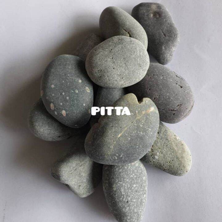 Medium Pebbles Stone 18kg | Lazada