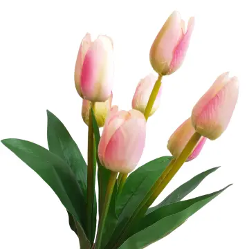 Setangkai Bunga Tulip Merah