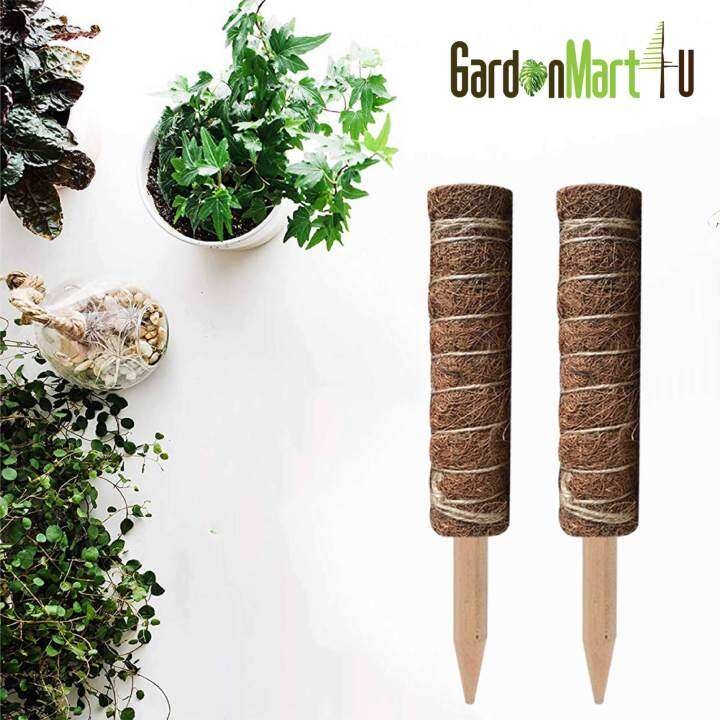 GM4U Extendable Coco Stick Coco Fiber Pole Climbing Plant Support ...