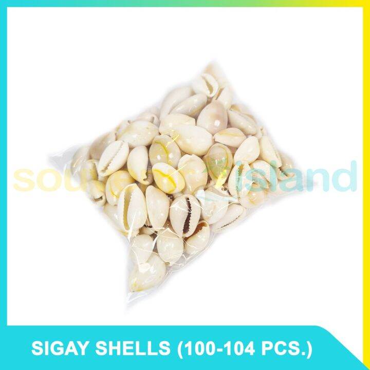Sungka Sigay Shell Pack (100-104pcs) | Lazada PH