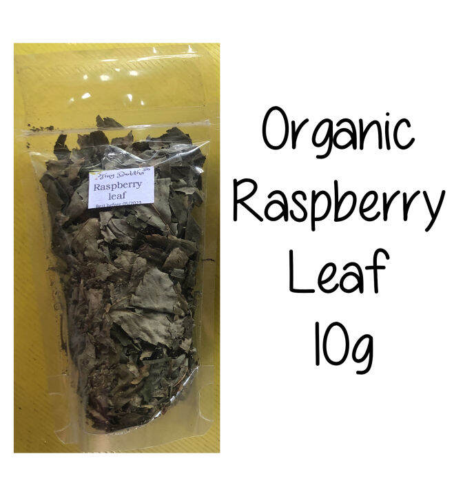 Organic Raspberry leaf loose leaves dried tea 10g | Lazada PH