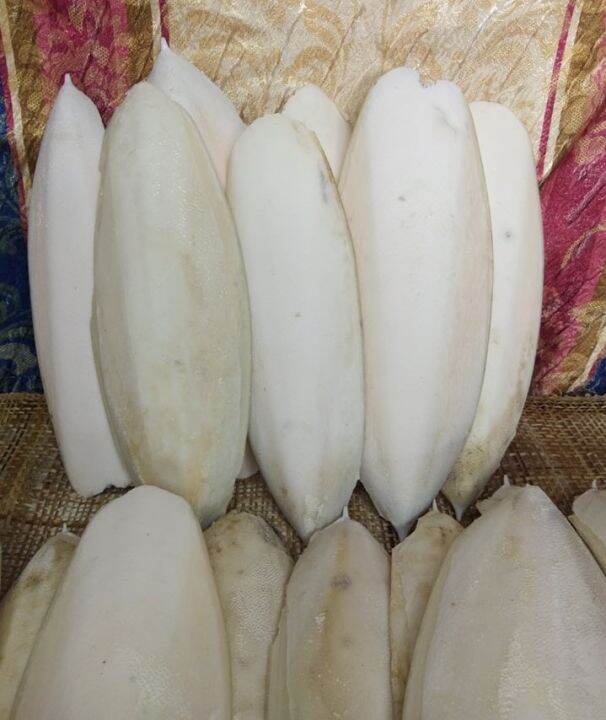 CUTTLEBONES for Birds (XS, Small, Medium, Large, XL, XXL) | Lazada PH