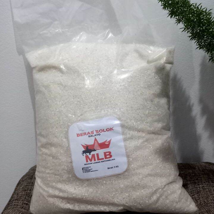 Beras Solok Anak Daro 5 Kg | Lazada Indonesia