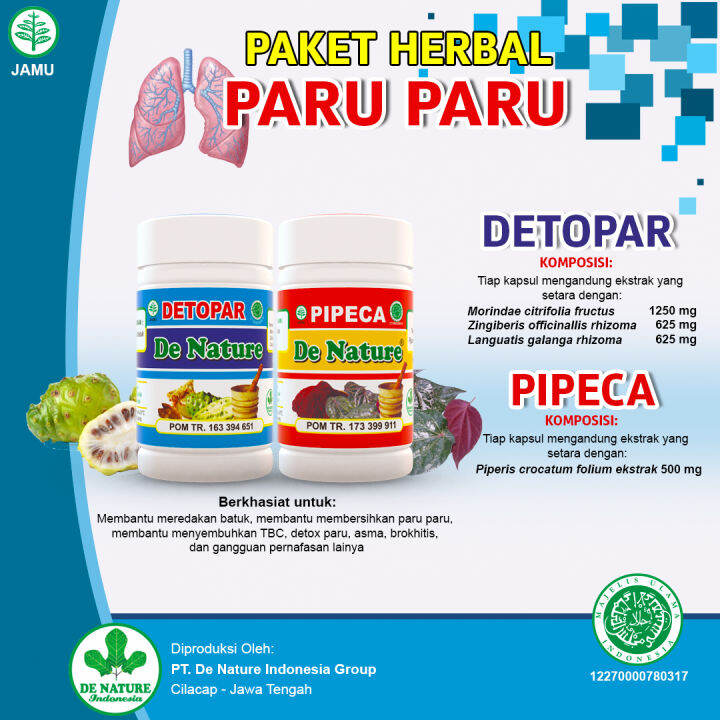 Obat Tbc Paru Paling Ampuh, Obat Asma Detopar Pipeca Pembersih Paru ...